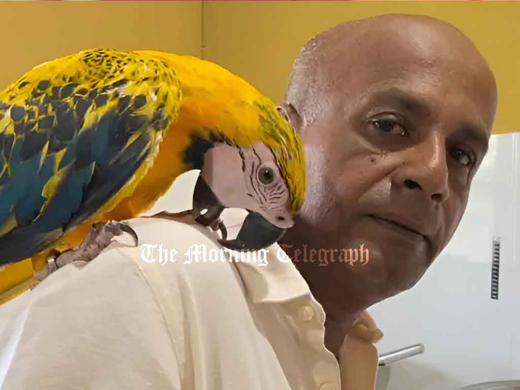 Doctors Warn of Healthcare Collapse Amid Drug Shortages and Legal Risks